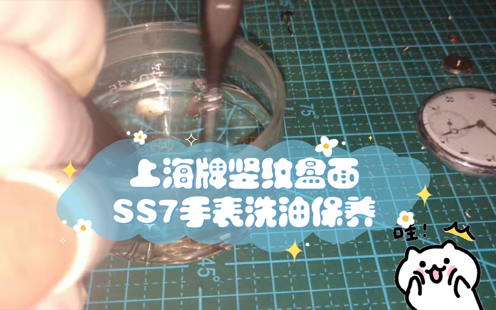 【自学钟表保养】好品相盘面少见的国产表:上海牌(Shanghai)竖纹盘面...