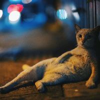 刘皮皮搞笑视频 