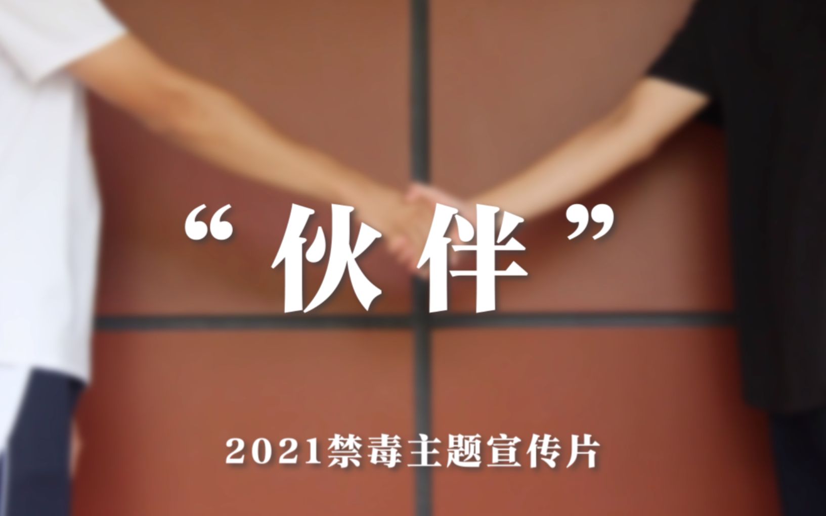 【禁毒宣传片】《“伙伴”》红岭中学高中部出品