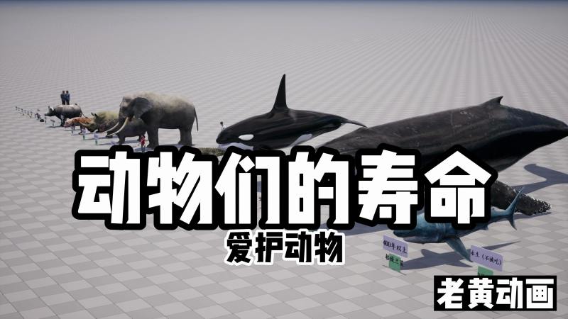 动物们的寿命排行