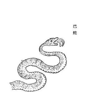 迦楼罗母婴见闻 