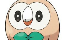 口袋妖怪究极绿宝石(1)就决定是你了木木枭