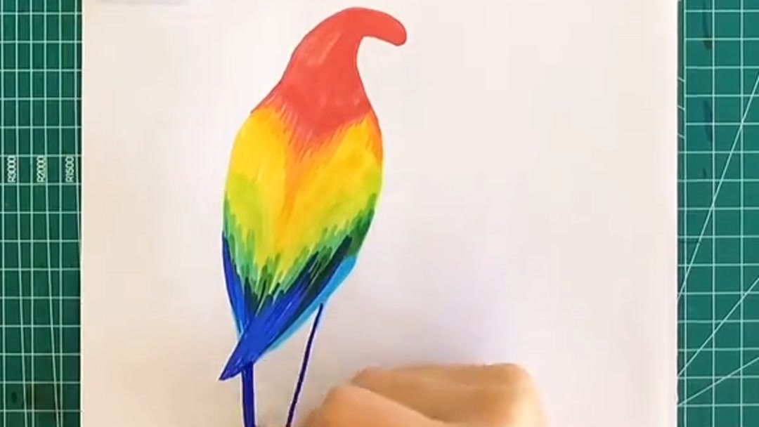 简单的绘画教程 马克笔轻松画鹦鹉