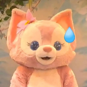 追星女孩kkk 