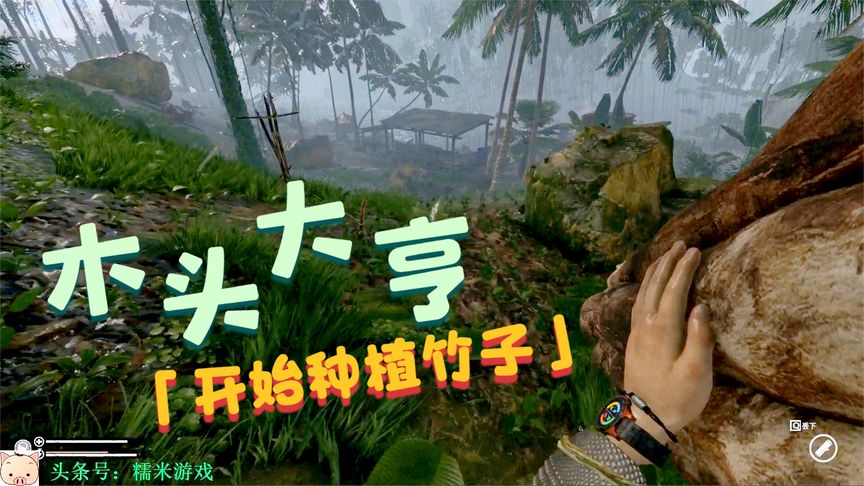 糯米原始森林生存第71期 木头大亨开始种植竹子