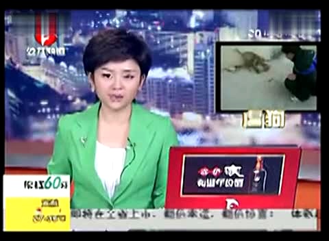 变态虐待小狗 网曝虐狗视频 残忍程度令人发指