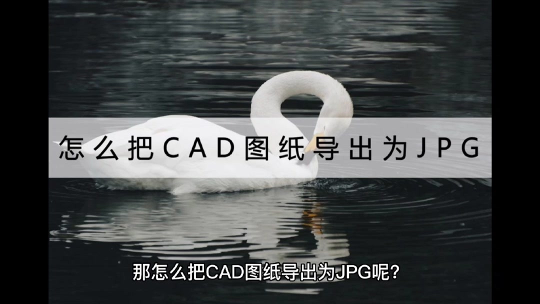 怎么把CAD图纸导出为JPG?这两个技巧推荐给你