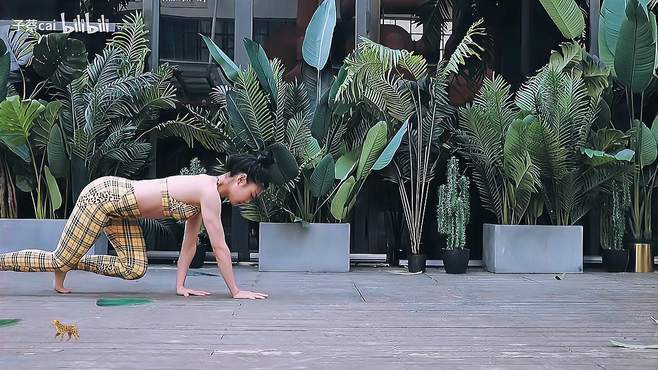 7个模仿小动物的徒手力量训练仿生爬行核心训练