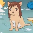 爱看书的东方西兰 