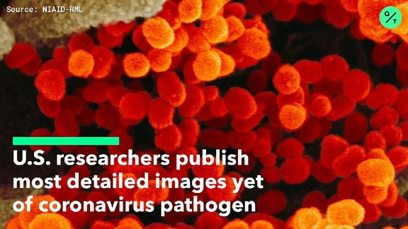 美国研究员首次发布新冠病毒的图片