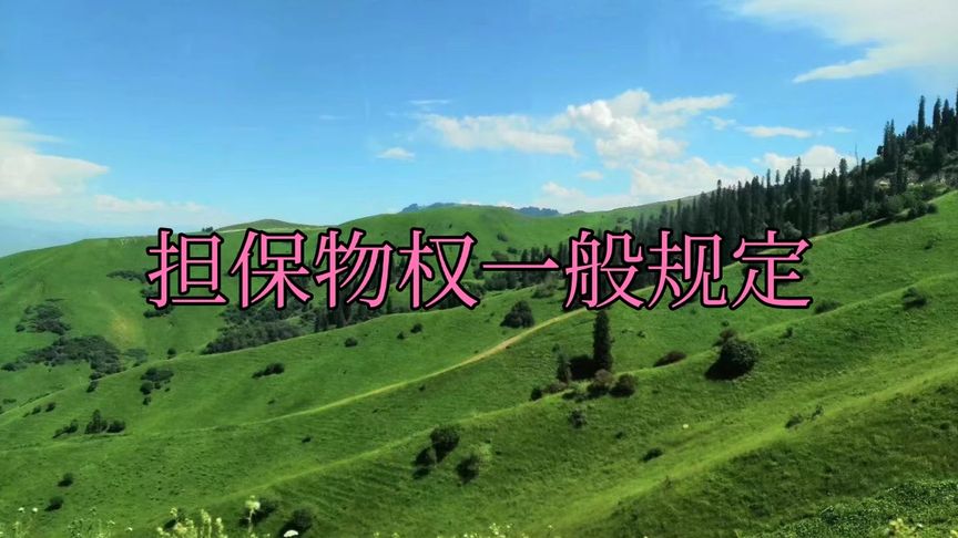 担保物权的一般规定
