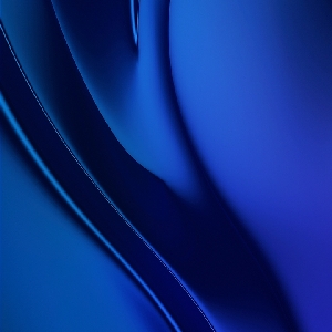 霍一把 