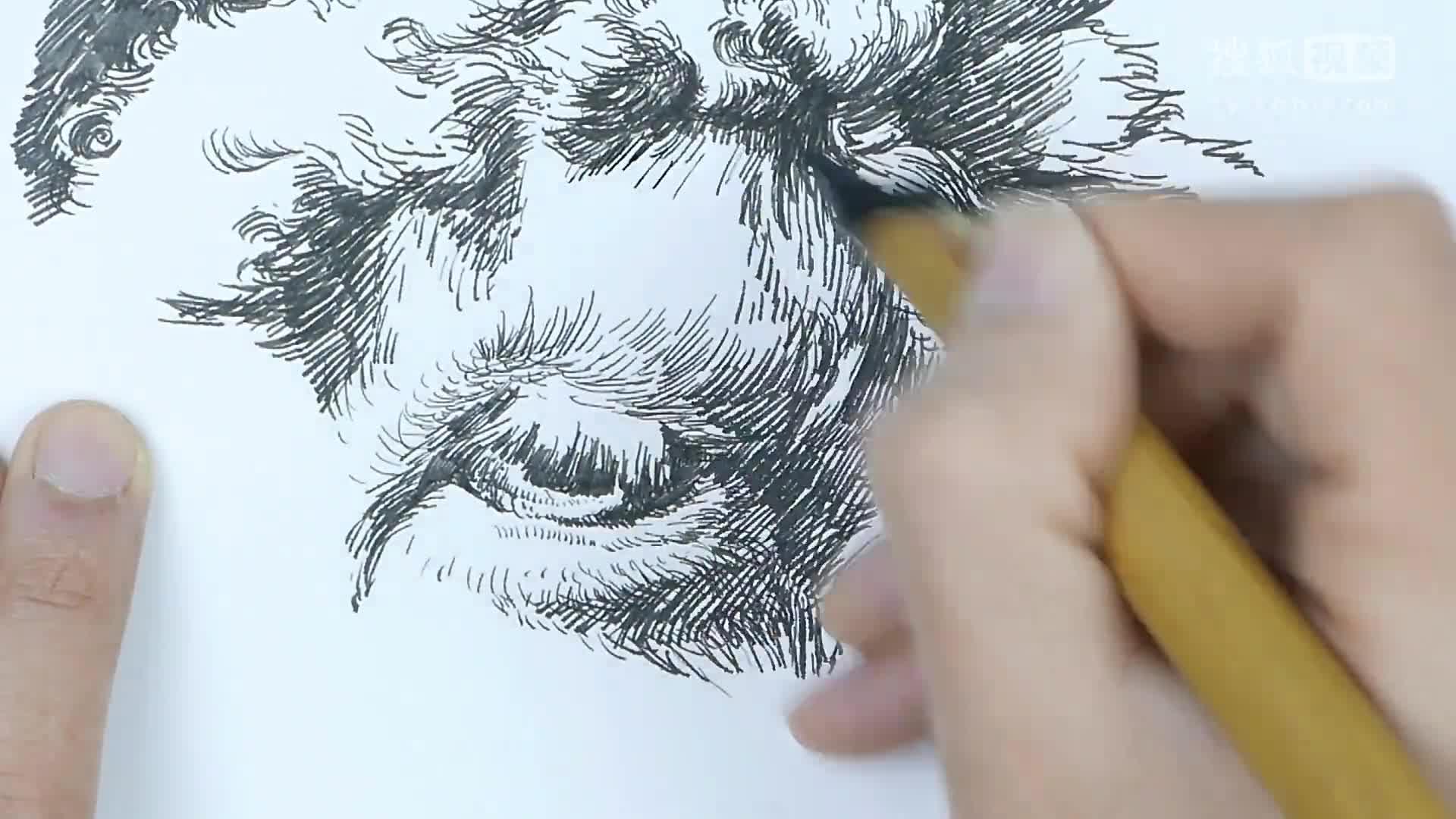 钢笔画技法基础四,钢笔画爱好者必备