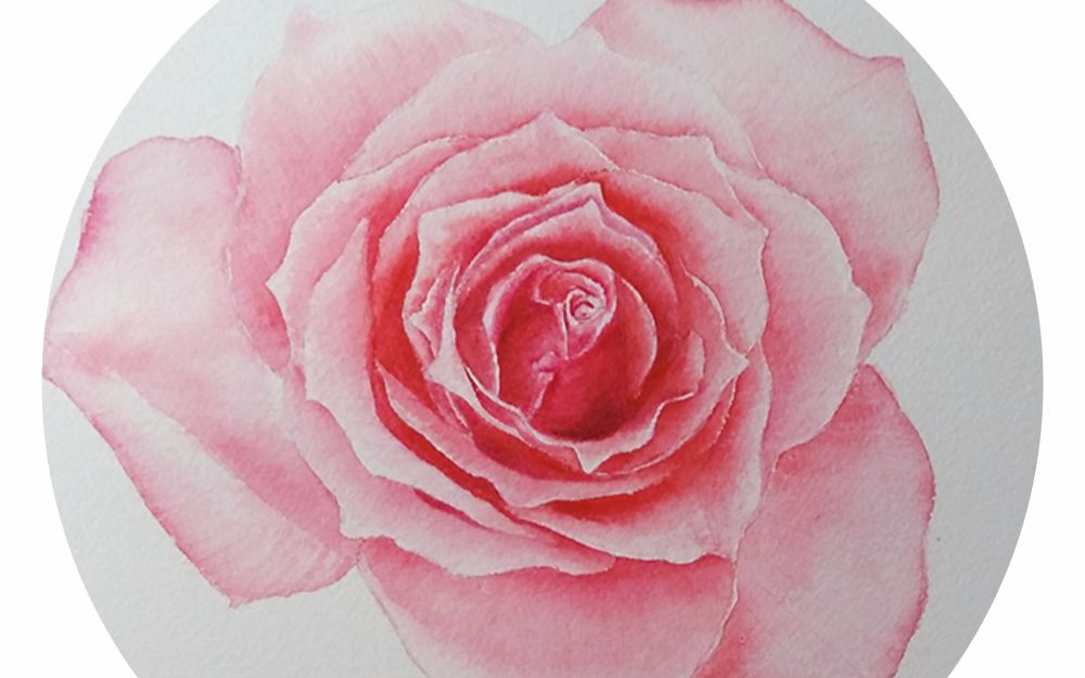 最简单的方法画出一朵玫瑰花