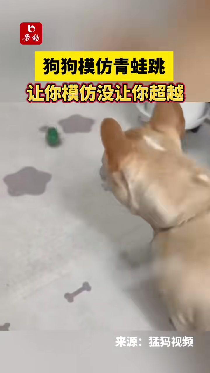 狗狗模仿青蛙跳,让你模仿没让你超越#法斗#动物的迷惑行为#萌宠日常...
