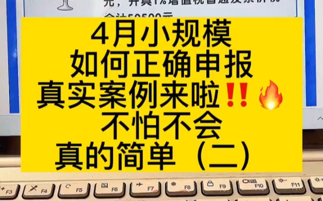 会计实操丨4月份小规模如何正确申报❗丨零基础学会计