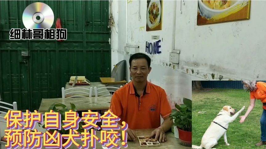 保护自身安全!认真学习防恶狗扑咬知识。