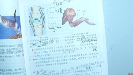 8八上生 第五单元二章第一节动物的运动