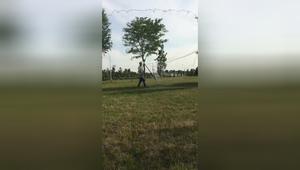 日常练习一下大网 看看慢动作下的撒网美不美
