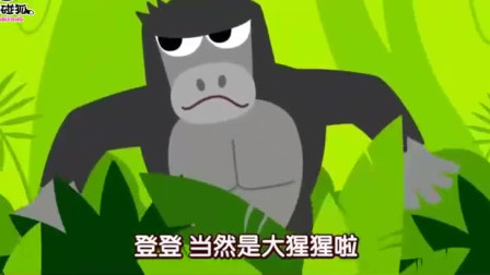 碰碰狐:什么动物生活在森林里?有大猩猩,开心地吃着香蕉