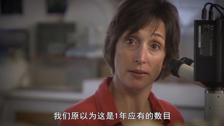 我们真的需要月亮吗:珊瑚脊突可推算出地球曾经自转周期