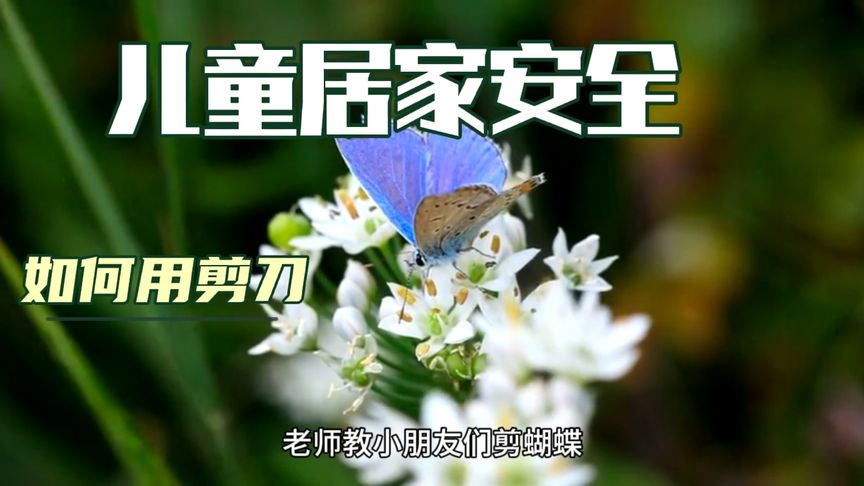 稳妹营业啦,今天讲居家安全如何使用剪刀哦,和稳妹一起来学习吧