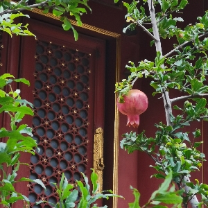 一江夏梦三五清晖 
