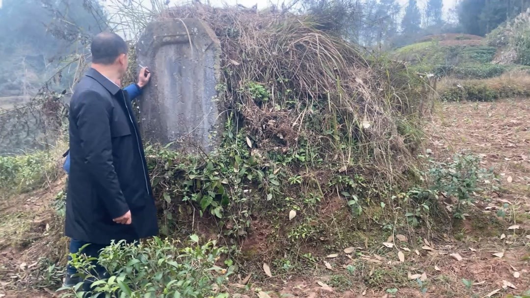 怎样看祖坟风水,湖北恩施实拍鲁公坟地,大家看看这个地方咋样?