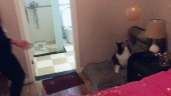 本来是想用气球吓唬她的,结果没想到她还是个投篮高手