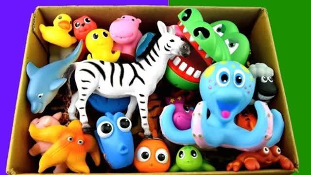 介绍各种各样的小动物玩具