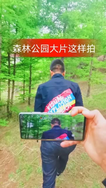 森林里怎么拍出好看的森林照片,这6个方法学起来