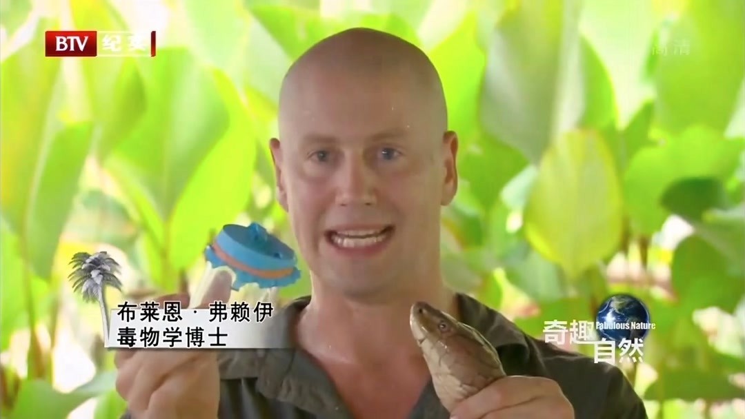 十五分钟就可使人致命,男子却用它来表演!