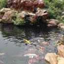 爱吃西瓜的第五英楠 