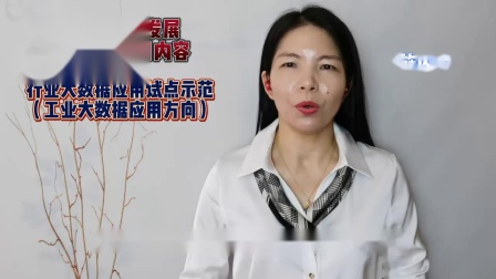大数据产业发展试点示范项目内容——工业大数据应用方向