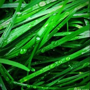 六月九日的宅男 