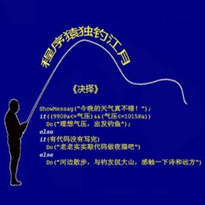 程序猿独钓江月 
