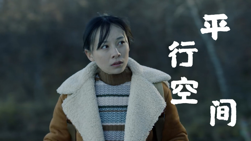 平行森林:失去孩子的母亲,穿梭于平行空间之中,结果会怎样呢