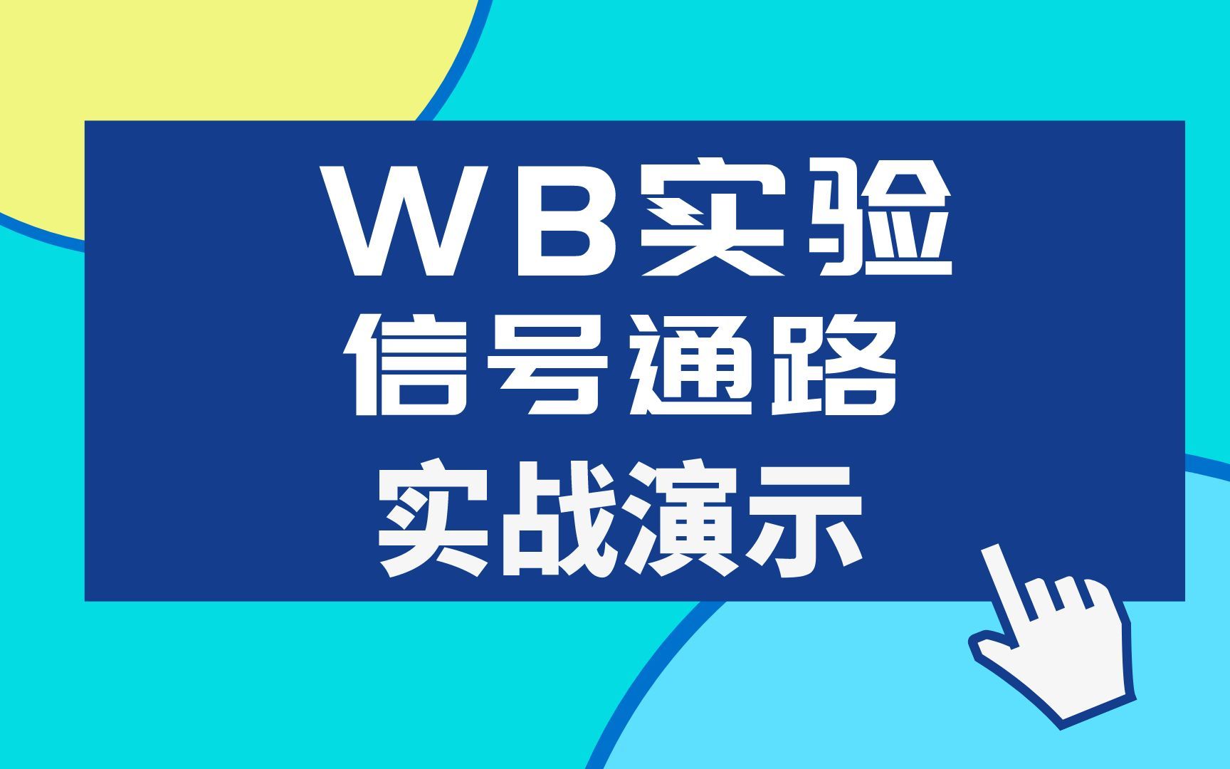 医学生必修课,WB实验 信号通路等实操演示