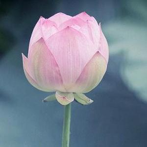 南怀瑾国学智慧 