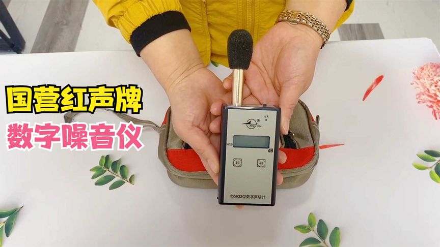 嘉兴国营红声HS5633型数字声级计 噪声测试仪 分贝仪 2级 可送检