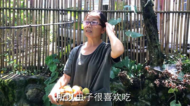 农村婆婆摘桃,从来没打过农药的桃子,等不到红透就要吃光了