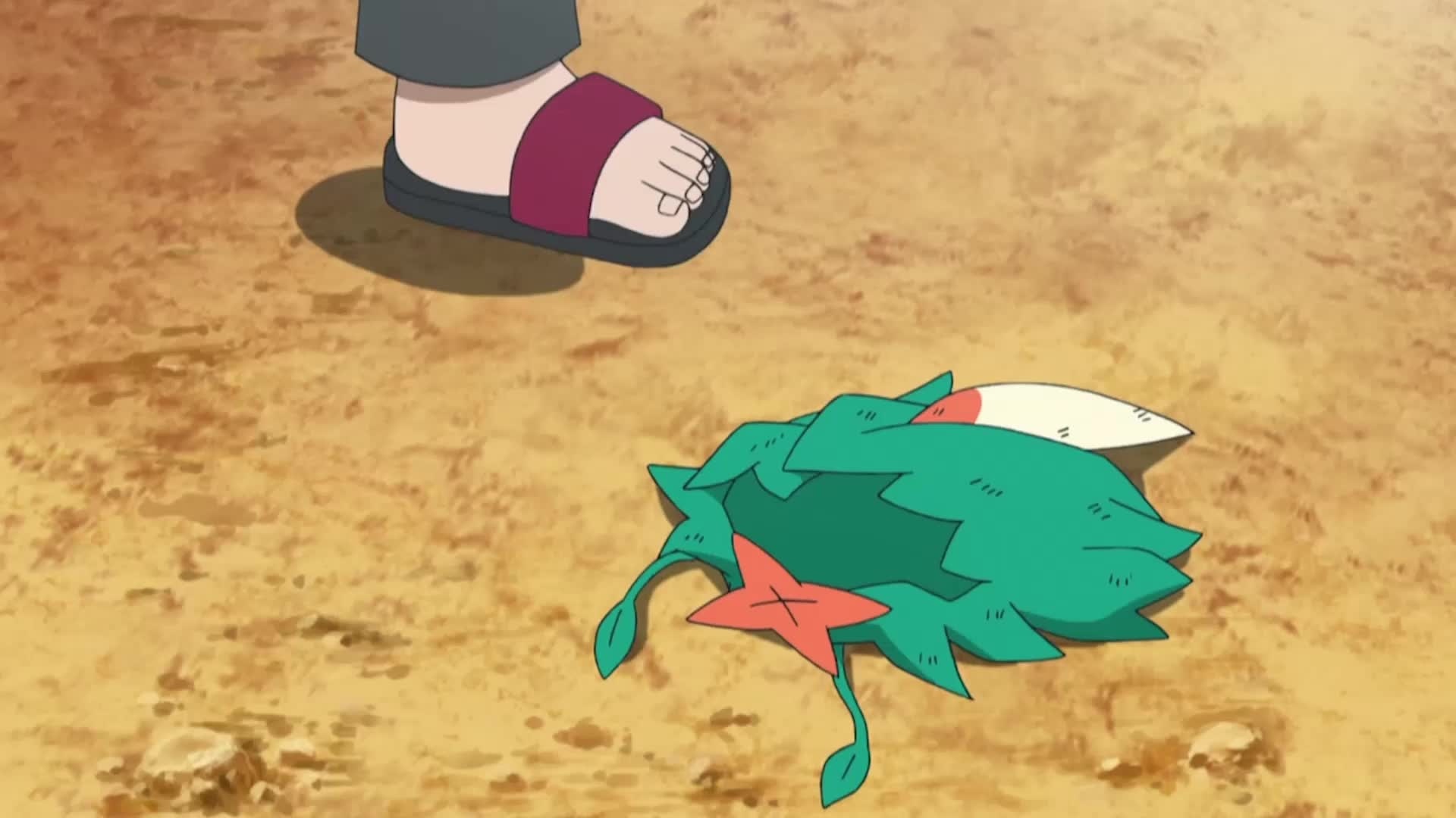 宝可梦日月:木木枭太小了,打不过进化型,被揍得大惊失色