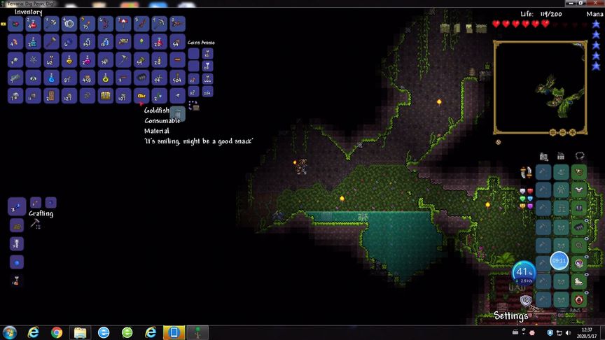 泰拉瑞亚专家生存16:探索丛林,找到了许多好东西