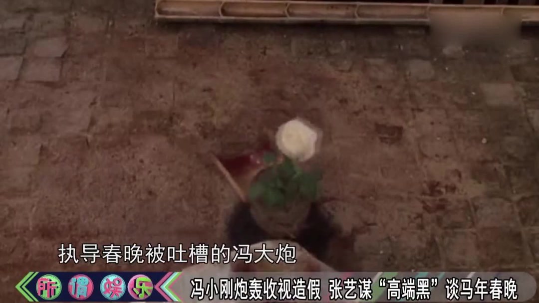 冯小刚炮轰收视造假 张艺谋“高端黑”谈马年春晚