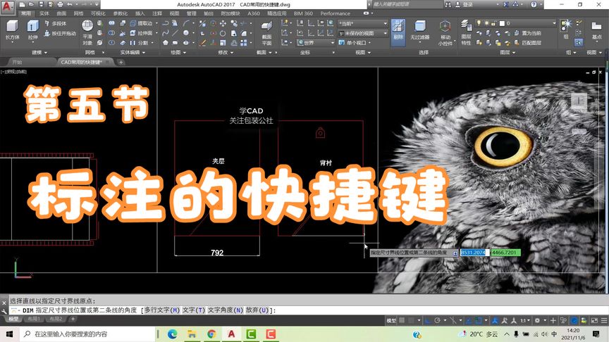 第五节,详解CAD中31个常用的快捷键之全智能标注,提高工作效率