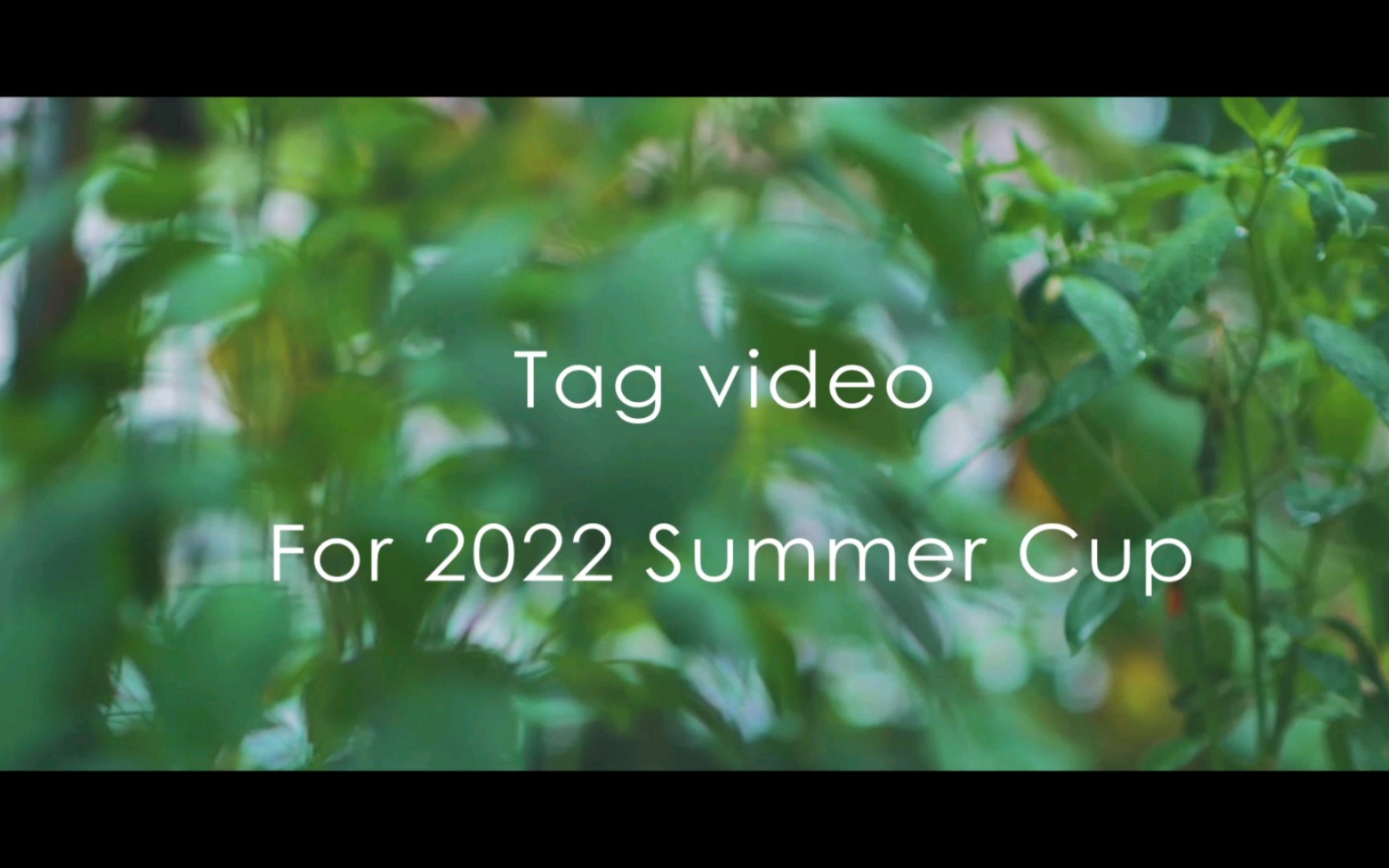 【转笔】aizen & k tag video 2022夏日杯第二轮双人参赛视频