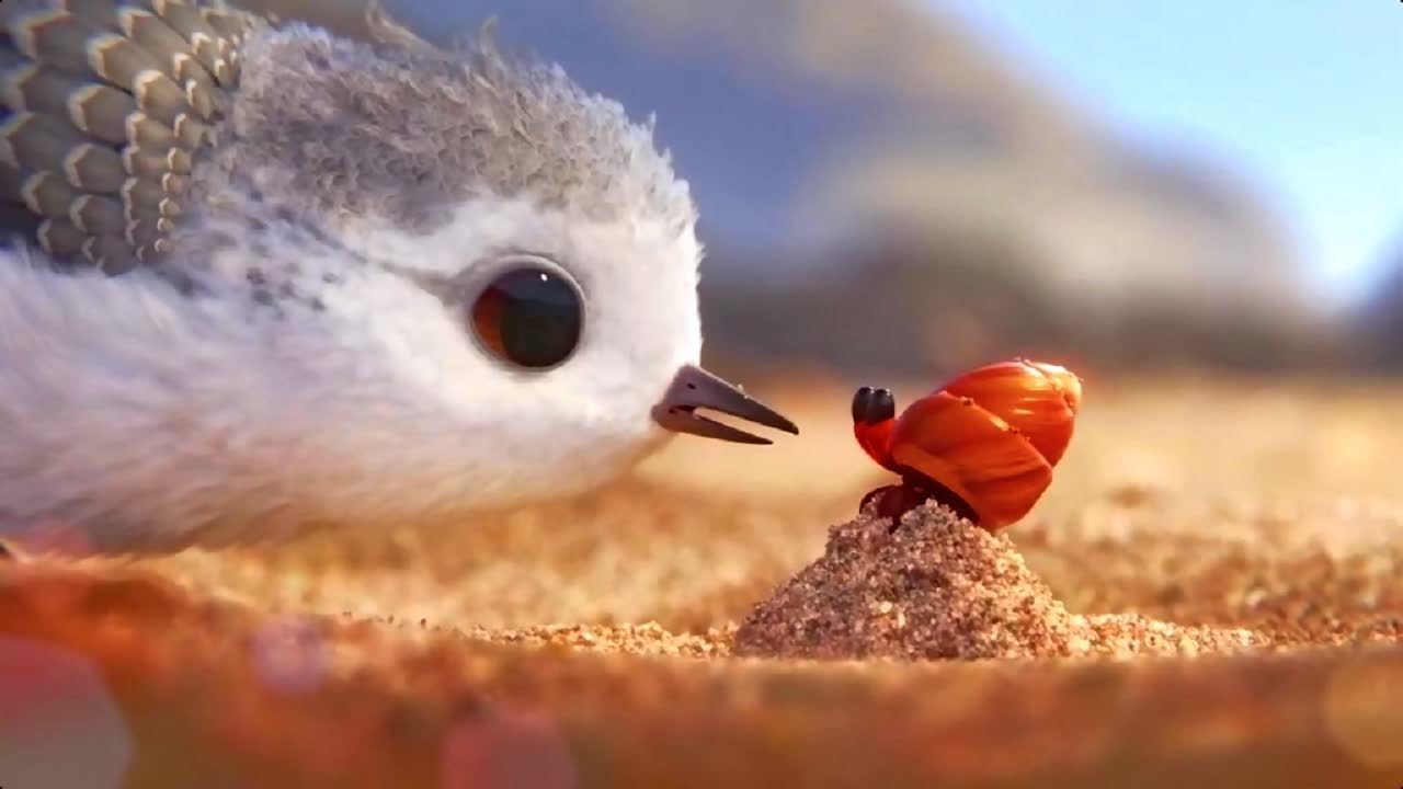 鹬宝宝学习觅食,却被浪吓得不敢出窝!励志动画短片《鹬》