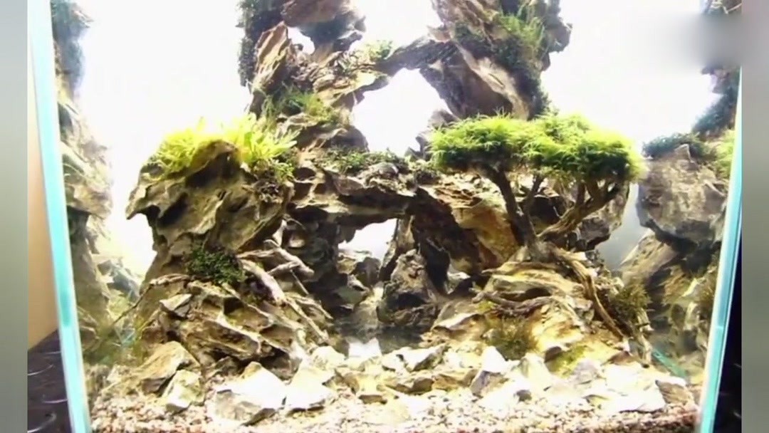 松皮石草缸造景,看到成景那一刻,给我个不开缸的理由