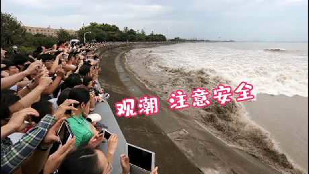 游客钱塘江观看潮水手机被冲走 观潮小贴士要记好