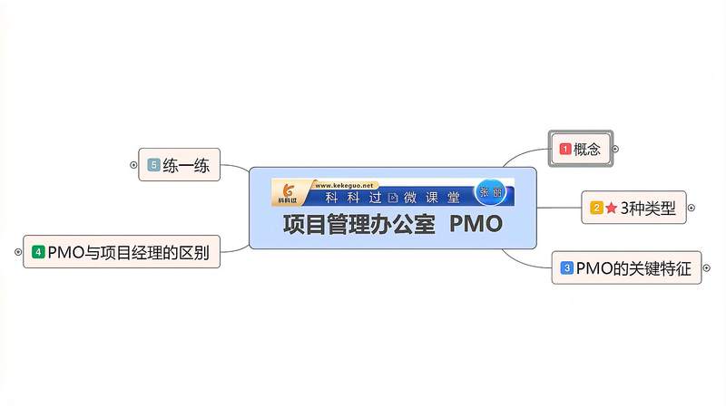 系统集成项目管理工程师 项目管理办公室PMO